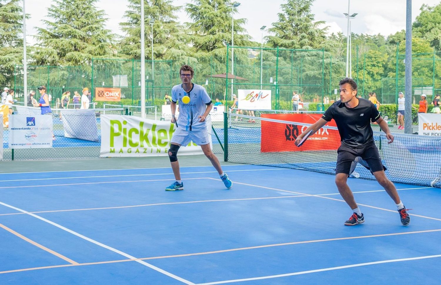 Pickleball: The Sport of the Future - PICKLEBALL PEAK