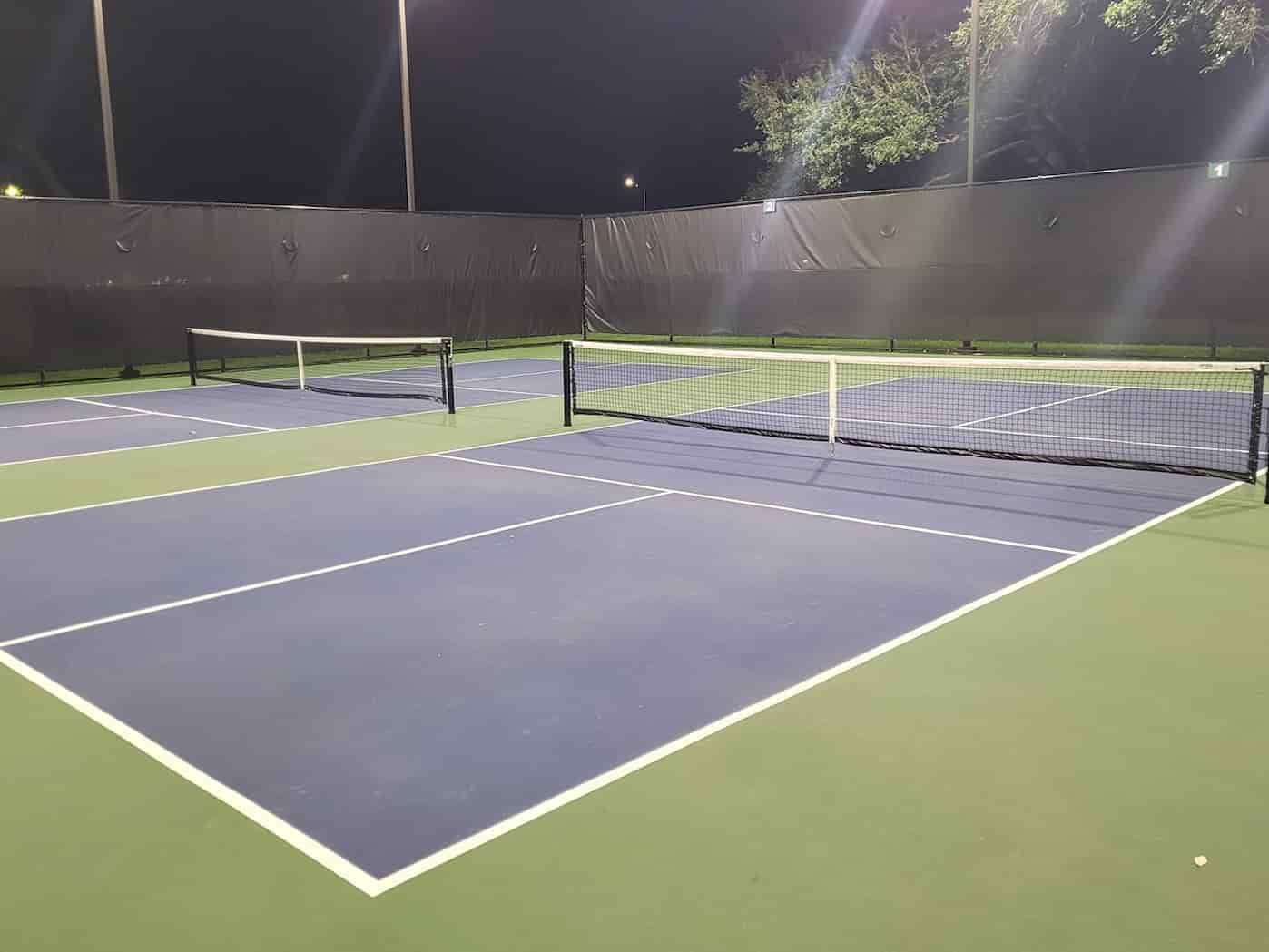 Mastering the Pickleball Topspin Backhand: A Comprehensive Guide ...